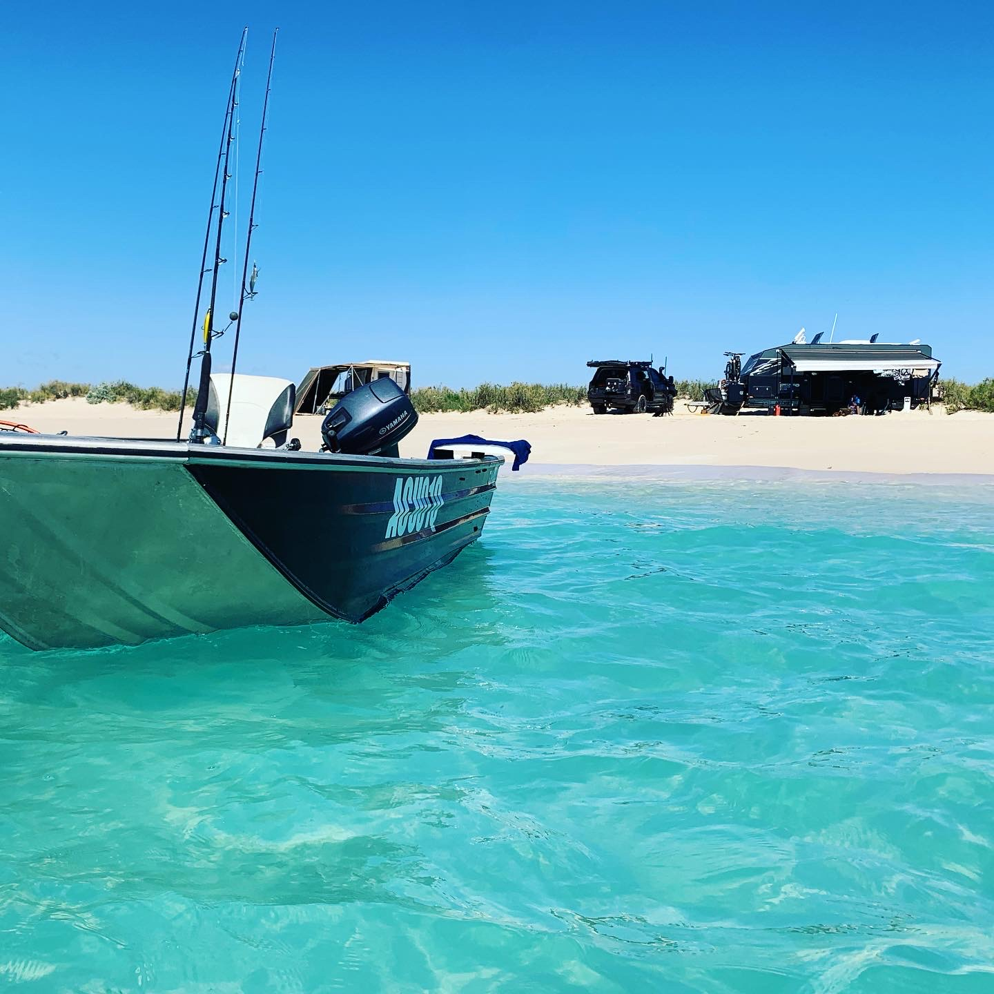 All – Camp Fish Explore